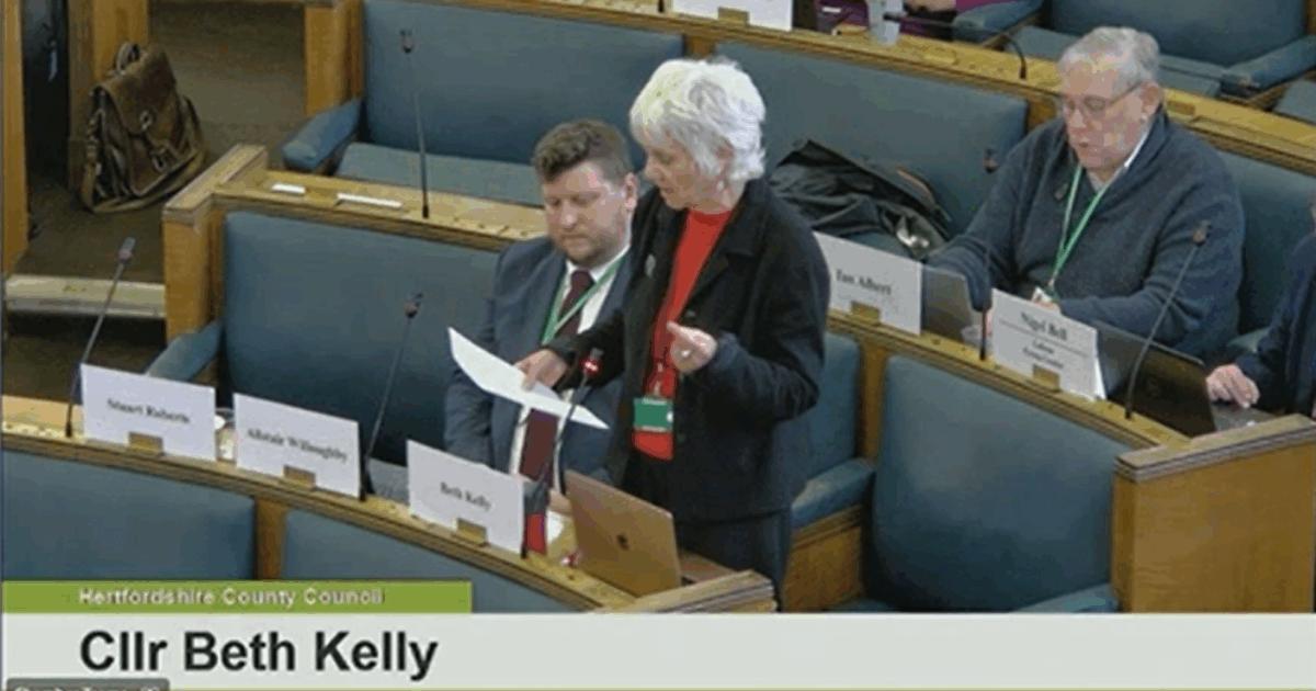 Labour Cllr Beth Kelly moves motion on Unadopted Roads – Salisbury ...